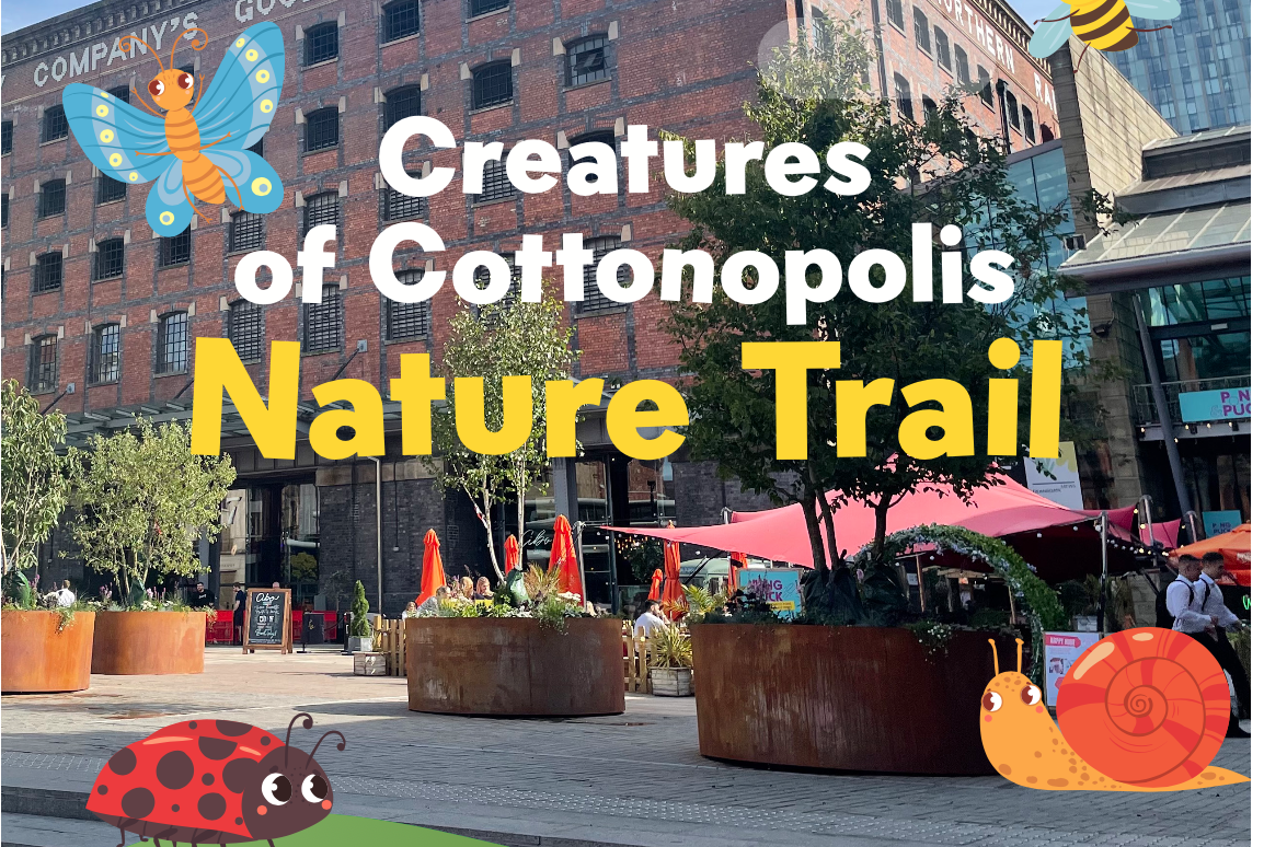 Creatures of Cottonopolis Nature Trail - Great Northern, Manchester